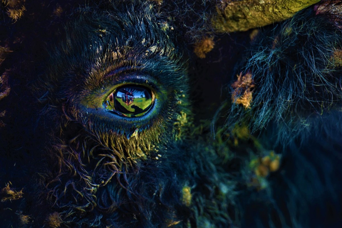 EPISODE 1: MEL – MEL LEFEBVRE